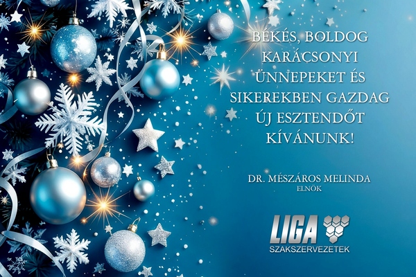 Boldog karácsonyt! - Liganet